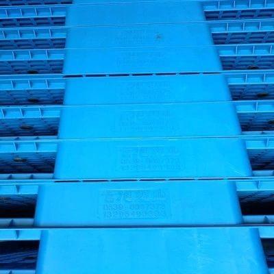 China Custom Plastic Warehouse Pallet 150x70x40cm | Blow Molding Manufacturing Services for Moisture Barriers & Forklift Pallets for sale