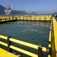 China Custom HDPE Deep Sea Aquaculture Fish Farming Cage - 160m Circumference, 25+ Year Lifespan for sale