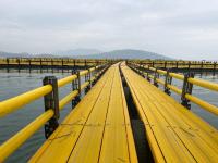 China HDPE Floating Pipe Fish Net Cage 200mm-500mm Offshore Aquaculture for Fishermen for sale