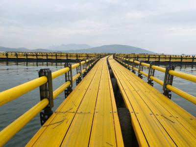 China HDPE Floating Pipe Fish Net Cage 200mm-500mm Offshore Aquaculture for Fishermen for sale