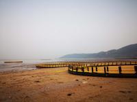 China HDPE Deep-Sea Aquaculture Cage Support Platform 10m-60m Diameter with 15+ Year Lifespan for sale