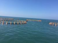China HDPE Plastic Fish Farming Cage with Bracket - 160m Circumference, 15+ Year Lifespan for Tilapia Breeding for sale