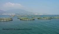 China HDPE Floating Fish Cage 10m-50m Diameter 200mm-400mm Pipe for Aquaculture for sale