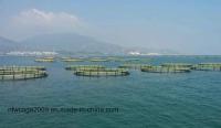 China HDPE Floating Fish Cage 10m-50m Diameter 200mm-400mm Pipe for Aquaculture for sale