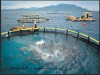 China HDPE Floating Fish Cage 10m-50m Diameter 200mm-400mm Pipe for Aquaculture for sale