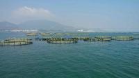 China HDPE Circular Fish Cage 30m-50m Diameter 200mm-400mm Floating Pipe for Aquaculture for sale