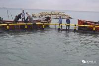 China Marine Grade HDPE Offshore Fish Farming Cage System 10m-50m Diameter for sale