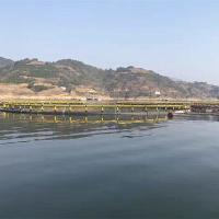 China HDPE Circular Fish Cage 13m-50m Diameter for Aquaculture Tilapia Farming for sale