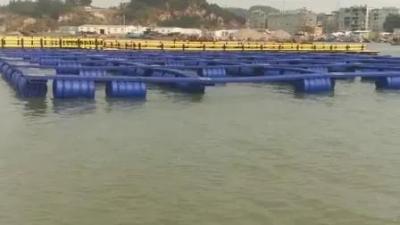 China Customizable Floating Pontoon Fish Cage for Deep Sea Tilapia Farming 6m Depth for sale