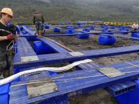 China Marine Polyethylene Fish Farming Cage 6m Depth Typhoon Resistant PE Aquaculture System for sale
