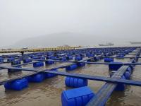 China Marine Polyethylene Fish Farming Cage 6m Depth Typhoon Resistant PE Aquaculture System for sale