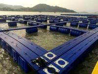 China PE Nylon Fish Farming Cage 4 to 200 sq m Capacity 6m Depth Grade 12 Typhoon Resistance for sale