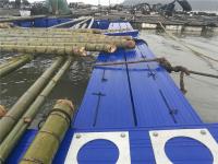 China Hydraulic Power Source Floating Pontoon Fish Farming Cage 6m Depth Grade 12 Typhoon Resistance 15 Year Lifespan for sale