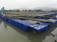 China Hydraulic Power Source Floating Pontoon Fish Farming Cage 6m Depth Grade 12 Typhoon Resistance 15 Year Lifespan for sale