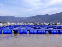 China HDPE Floating Fish Cage 200mm Pipe Grade 12 Typhoon Resistance 15 Year Lifespan for Tilapia Aquaculture for sale