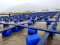 China HDPE Fish Cage 12 Grade Typhoon Resistance 7m Wave 1.2m/s Current Floating Pontoon Cage for sale