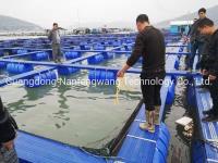 China HDPE Fish Cage 12 Grade Typhoon Resistance 7m Wave 1.2m/s Current Floating Pontoon Cage for sale