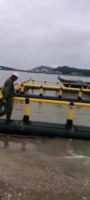 China Square HDPE Fish Cage 3m x 3m to 10m x 10m Marine Grade Pipe for Lake Tilapia Grouper Farming for sale