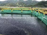 China Square HDPE Fish Cage 3m x 3m to 10m x 10m Marine Grade Pipe for Lake Tilapia Grouper Farming for sale