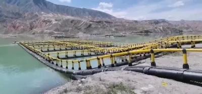 China Large Diameter HDPE Plastic Pipe Circular Fish Cage for Aquaculture CE Certified 50 Year Lifespan for sale