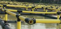 China HDPE Square Floating Net Cage 3m x 3m to 12m x 12m for Tilapia Aquaculture for sale