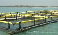 China HDPE Square Floating Fish Cage 6m x 6m Grid Mooring System for Aquaculture for sale