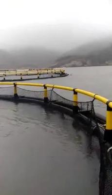 China HDPE Circular Fish Cage 30m 40m 50m Circumference for Deep Sea Offshore Aquaculture Farming for sale
