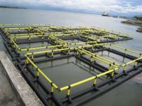 China Anti-Fouling Circular Fish Cage HDPE Floating Pipe -60°C to +80°C 50000 Ton Capacity Aquaculture Farming for sale
