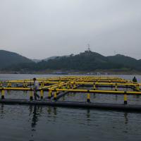 China Marine HDPE Circular Fish Cage 30-200m Circumference Deep Sea Aquaculture for sale