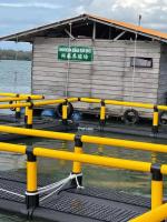 China Square Fish Cage HDPE Floating Pipe 50 Year UV Resistance -60°C to +80°C 50000 Ton Capacity for sale