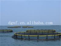 China HDPE Fish Farming Cage 50000 Ton Capacity 50 Year UV Resistance -60°C to +80°C for sale