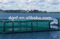 China HDPE Fish Farming Cage 50000 Ton Capacity 50 Year UV Resistance -60°C to +80°C for sale