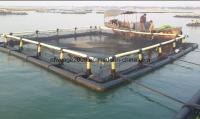 China Commercial HDPE Floating Aquaculture Fish Cage 3m to 12m Temperature Range -60°C to +80°C for sale