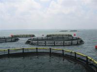 China HDPE Floating Fish Cage 5m to 20m 15-Year Lifespan 12-Grade Typhoon Resistance for Offshore Aquaculture for sale
