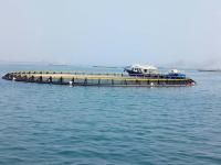 China HDPE Circular Fish Cage 315mm Bracket for Deep-Water Aquaculture 80m-300m Circumference for sale