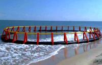 China HDPE Circular Fish Cage 80m-300m Circumference for Marine and Freshwater Aquaculture for sale