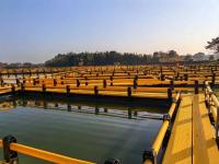 China 10x10m Combined Square Fish Cage 315mm Floating Pipe for Lake River Sea Tilapia Farming for sale