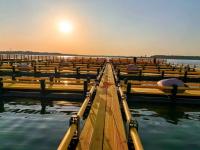 China 10x10m Combined Square Fish Cage 315mm Floating Pipe for Lake River Sea Tilapia Farming for sale