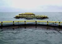 China High Strength HDPE Anti-Wave Deep Sea Fish Cage 80m-300m Circumference for Mariculture for sale