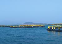 China High Strength HDPE Anti-Wave Deep Sea Fish Cage 80m-300m Circumference for Mariculture for sale