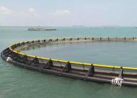 China Deep Sea Anti Wave HDPE Fish Cage 80m-300m Circumference for Tilapia Shrimp Farming for sale