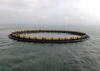 China Integrated Injection Molding HDPE Fish Cage Offshore Mariculture 80m-300m Circumference for sale