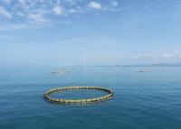 China Heavy Duty HDPE Floating Fish Cage Anti Typhoon 80m-300m Circumference for Aquaculture for sale
