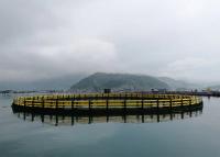 China Heavy Duty HDPE Floating Fish Cage Anti Typhoon 80m-300m Circumference for Aquaculture for sale