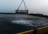 China HDPE Aquaculture Cage Floating Fish Farming Equipment 80m-300m Circumference for sale
