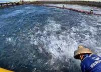 China HDPE Aquaculture Cage Floating Fish Farming Equipment 80m-300m Circumference for sale