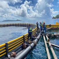 China HDPE Round Aquaculture Cage Integral Injection Molding Solid Frame 80m-300m Circumference Wind Resistant Marine Farming for sale