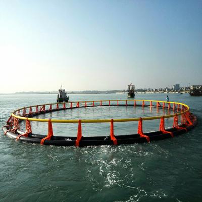China HDPE Fish Cage Floating Platform Integrated Molding Seamless Frame 80m-300m Circumference Anti Aging Impact Resistant for sale