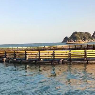 China HDPE Freshwater Fish Cage Floating Platform Seamless Frame 80m-300m Circumference Anti Aging Corrosion Resistant for sale