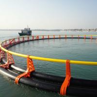 China HDPE Round Fish Cage Floating Frame 80m-300m Circumference UV Corrosion Wave Resistant for Lake Pond Farming for sale